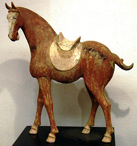 Important Tang Horse - Tang Dynasty (618 - 906)